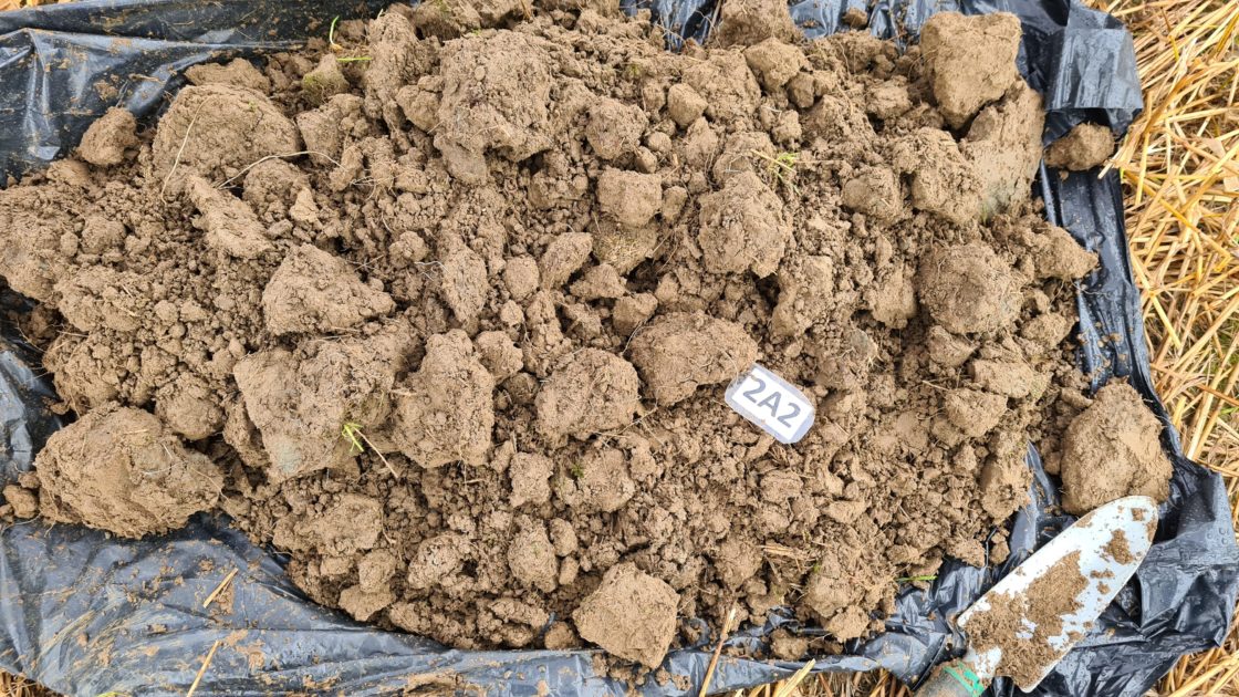 Aggregater i jord - viktig for jordstrukturen @ Agropub