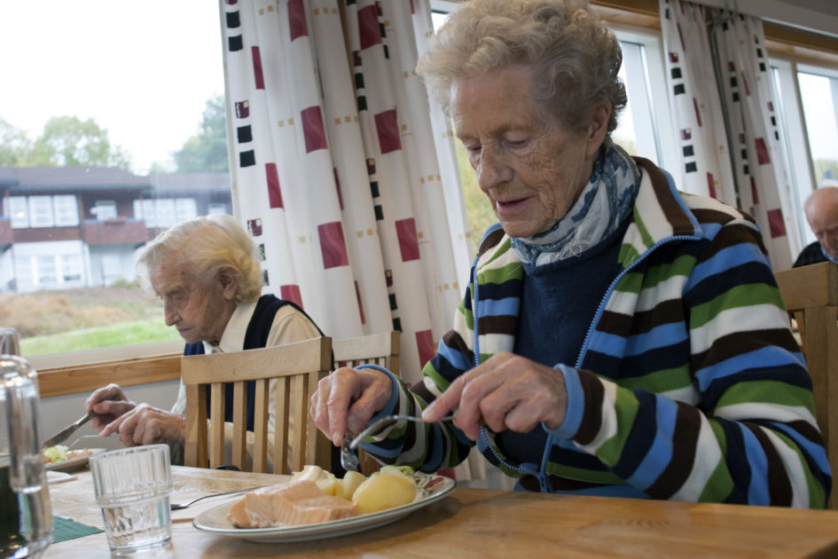 Positive effekter av omlegging til økologisk mat @ Agropub