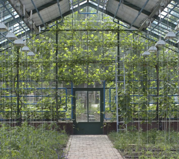 Veksthus til nytte, pryd og innovasjon på Ramme Gaard @ Agropub