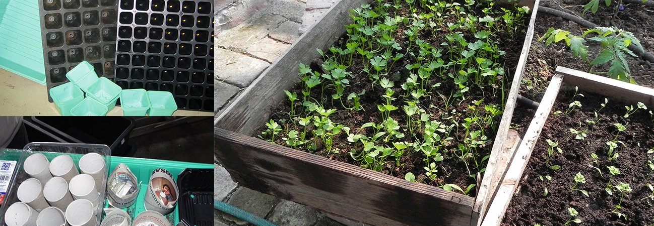 Oppal av småplanter @ Agropub Oppal av småplanter @ Agropub